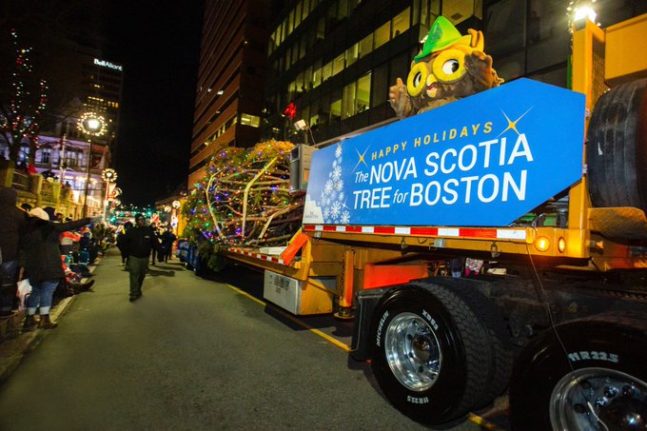 Tree for Boston: A Story of Friendship - Connect2Canada