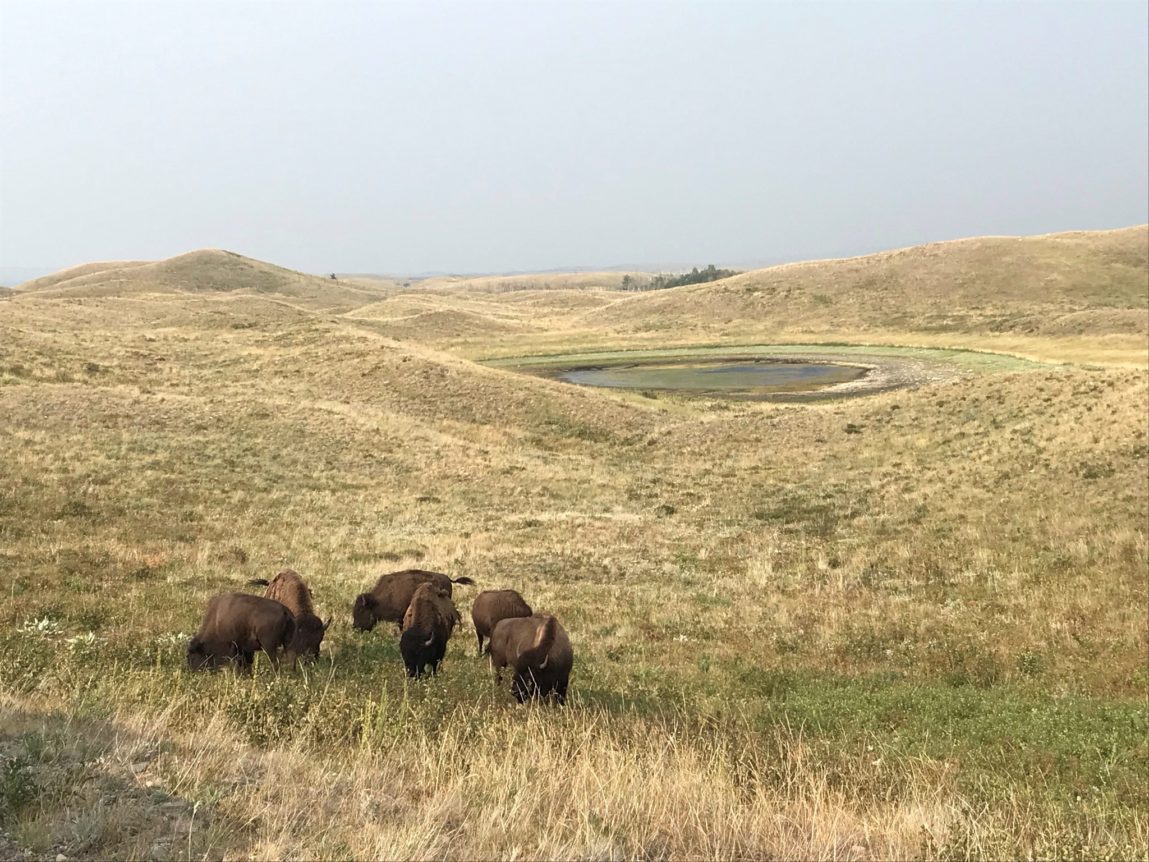 Canadian Culinary Reflections - Part 2 - Connect2Canada